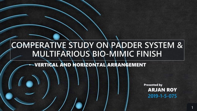Presentation On padding system.pptx