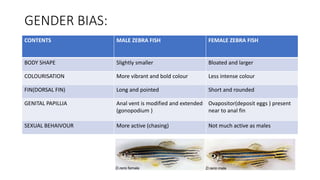 screening model for Parkinson's disease.pptx