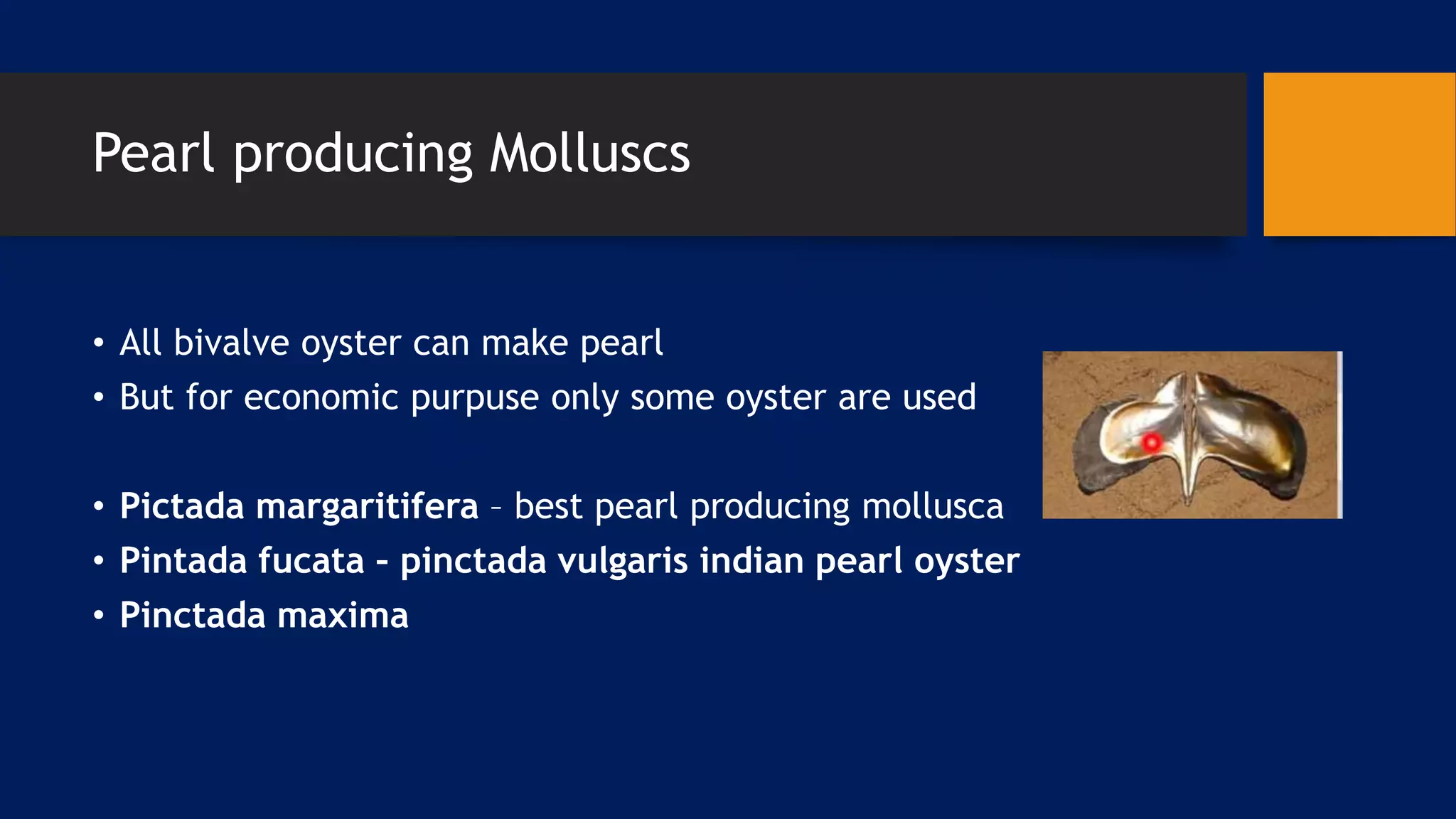 Pearl culture | PPTX