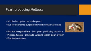 Pearl culture | PPTX
