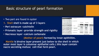 Pearl culture | PPTX