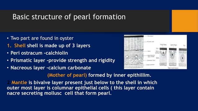 Pearl culture | PPTX | Beadwork | Arts and Crafts