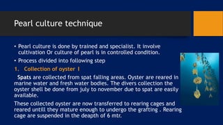 Pearl culture | PPTX