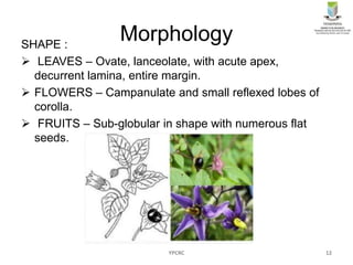 presentation on pharmacology of belladonna.pptx