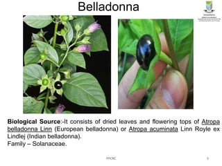 presentation on pharmacology of belladonna.pptx