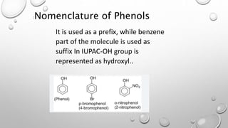 Presentation on phenol.pptx