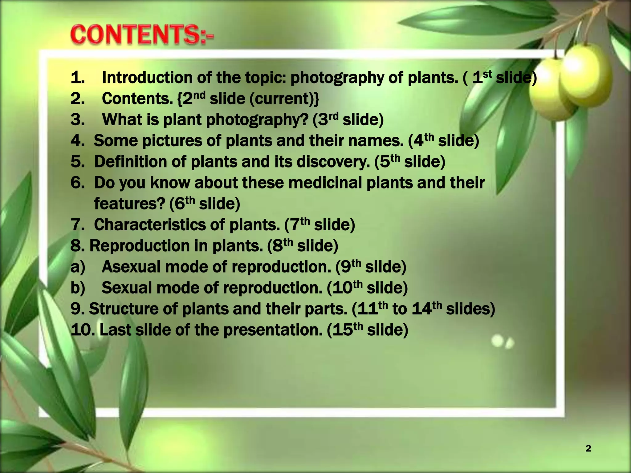 Presentation on Photography of plants.pptx