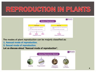 Presentation on Photography of plants.pptx