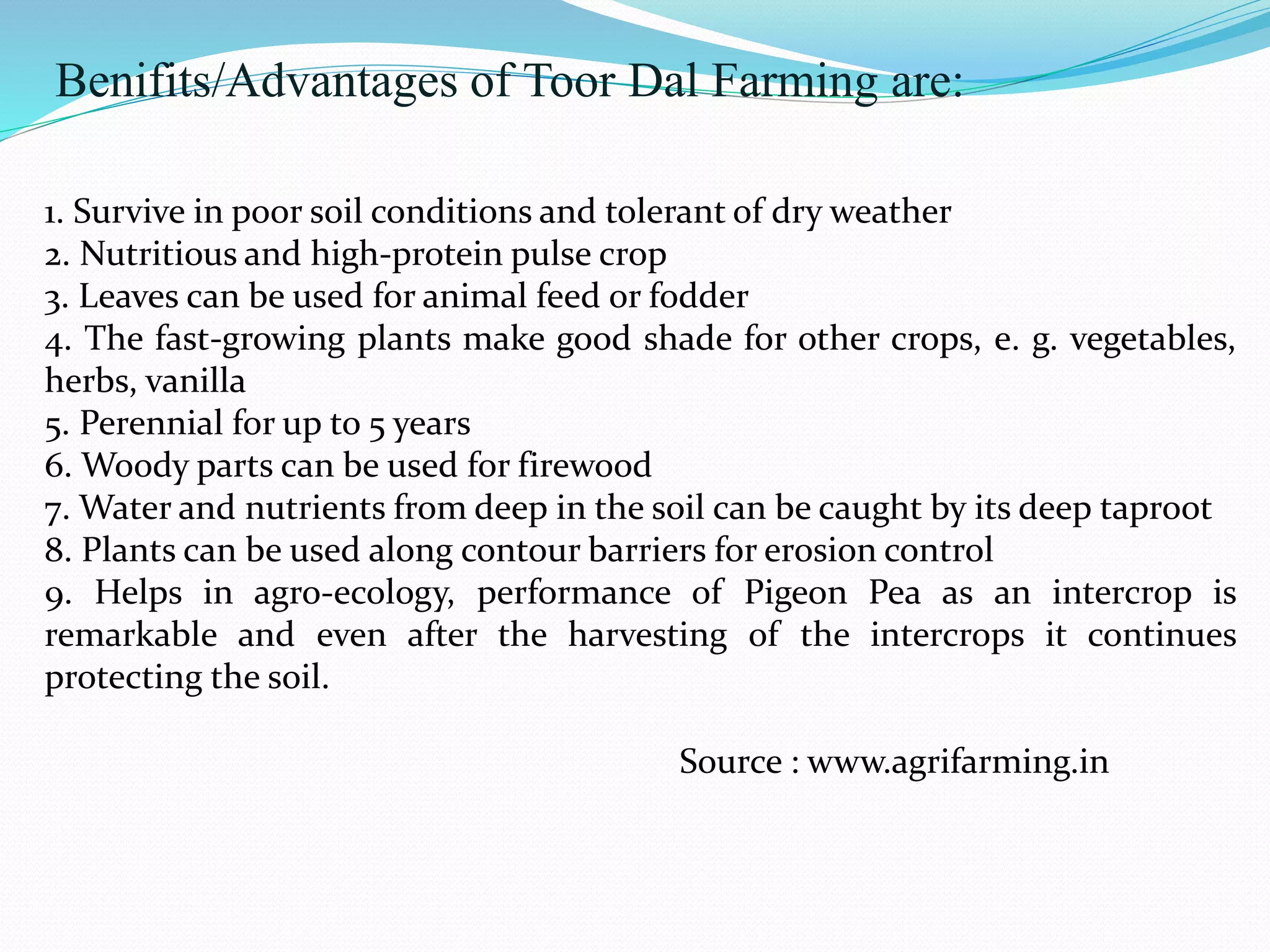 Presentation on pigeon pea | PPTX | Agriculture | Industries