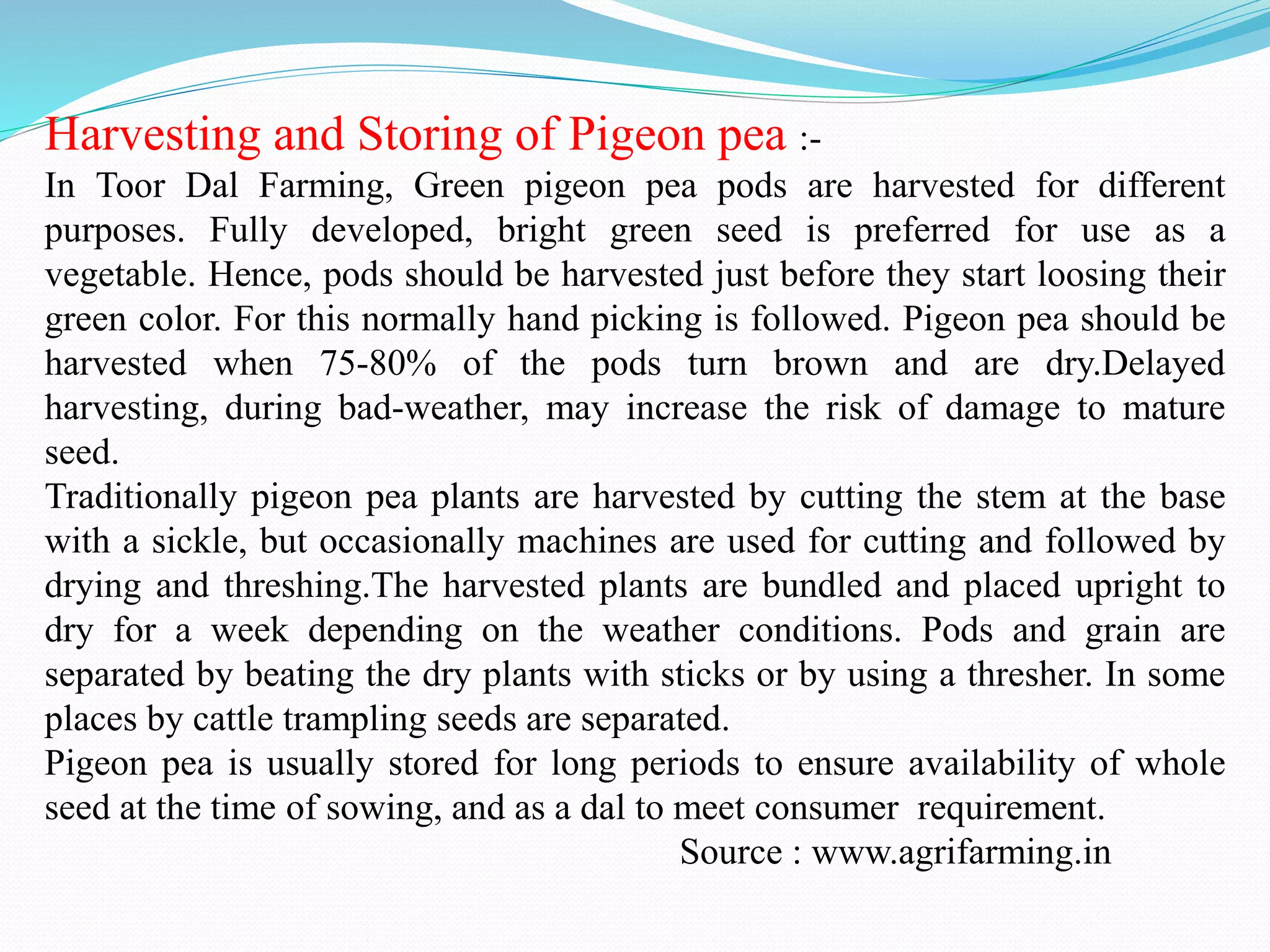 Presentation on pigeon pea | PPTX