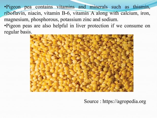 Presentation on pigeon pea | PPTX | Agriculture | Industries