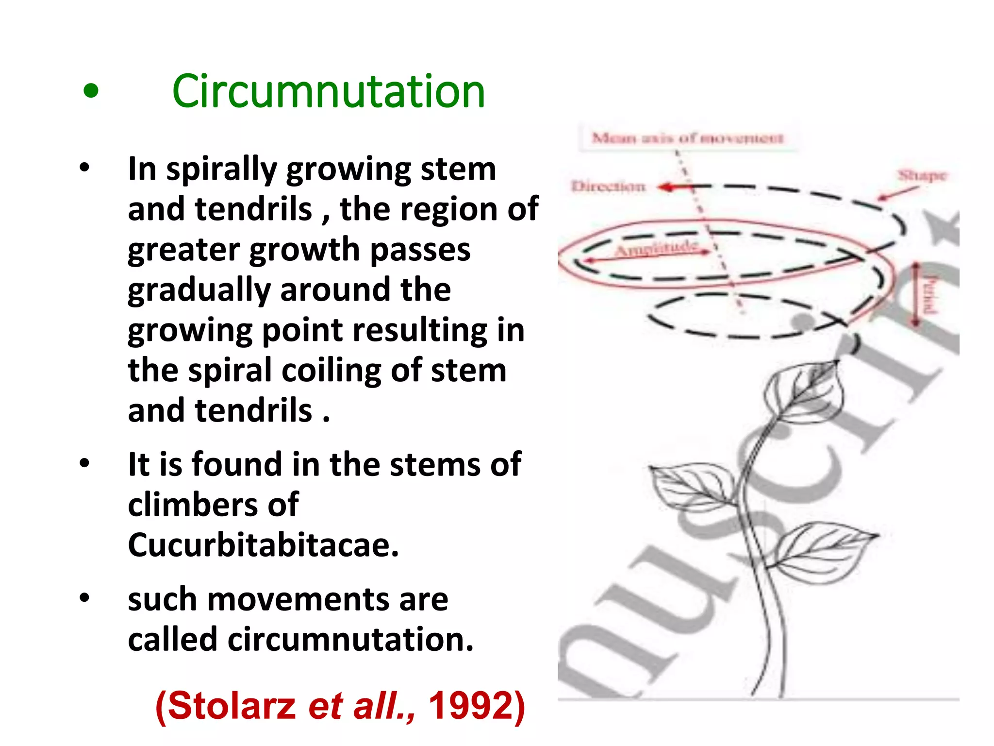 Presentation on plant movement | PPT