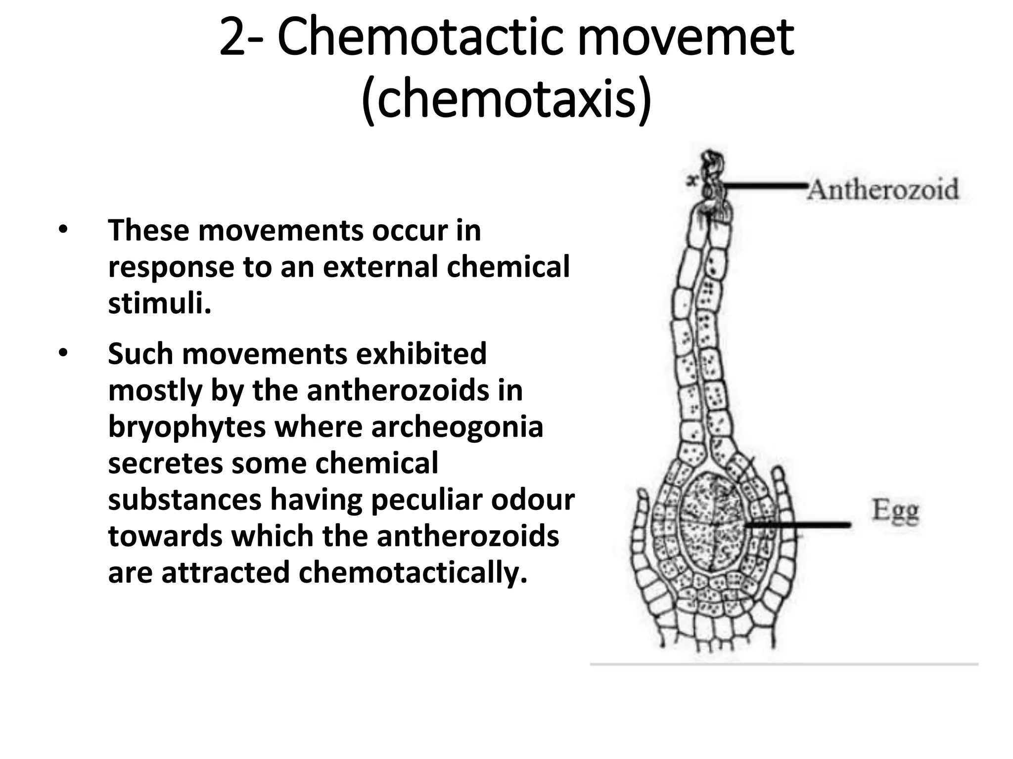 Presentation on plant movement | PPT