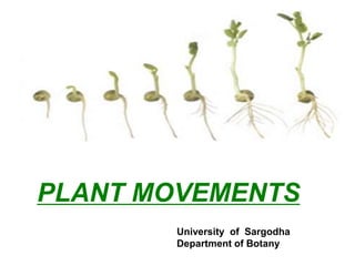 Presentation on plant movement | PPT
