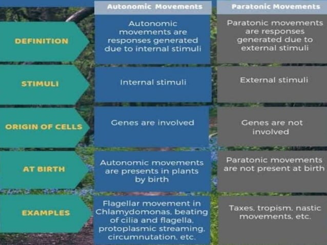 Presentation on plant movement | PPT