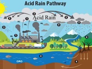 Presentation on pollution | PPTX