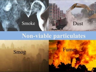 Presentation on pollution | PPTX