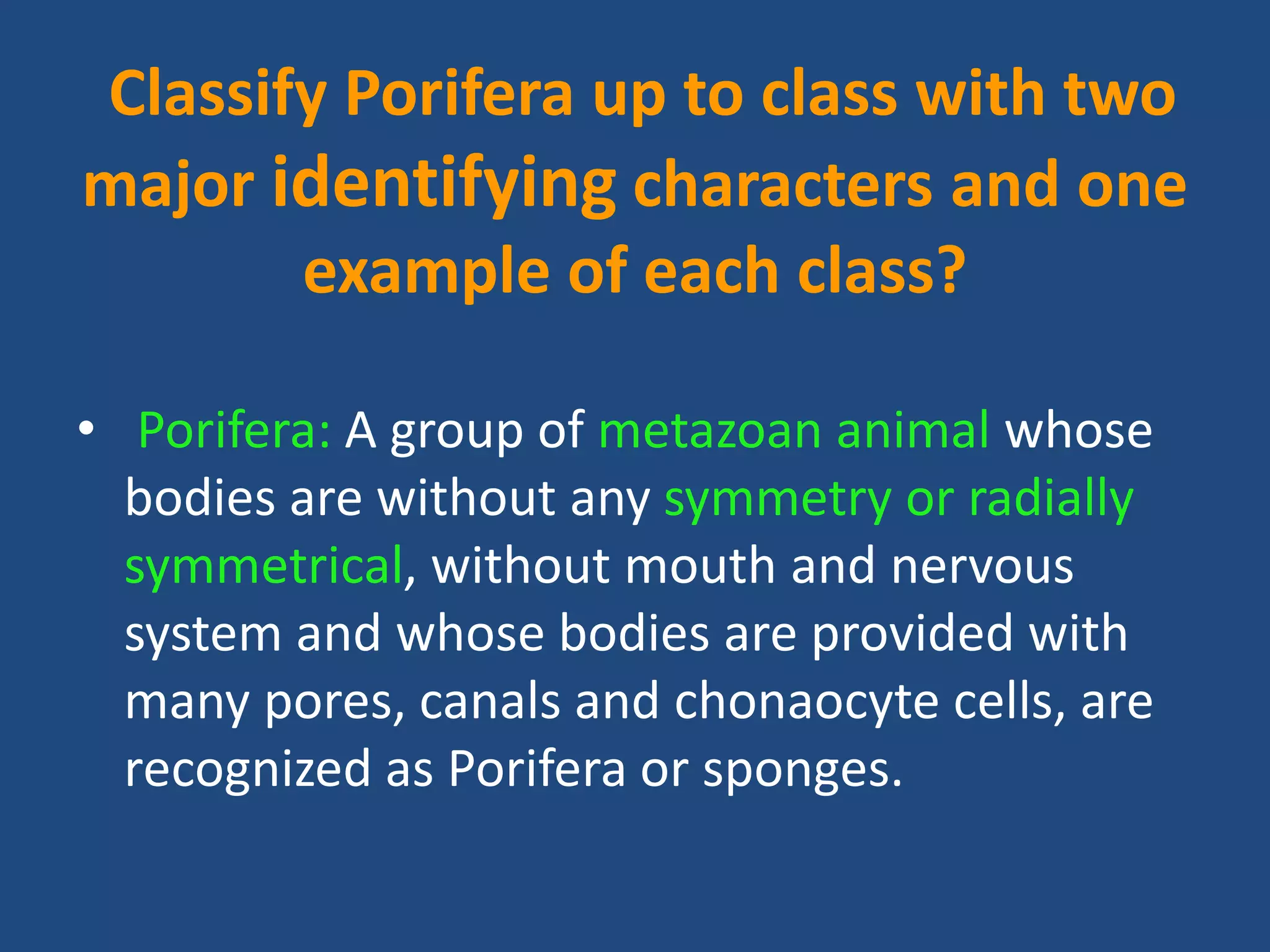 Presentation on porifera | PPTX