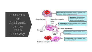 Management of Post Operative Pain: to make doctors conscious about the ...