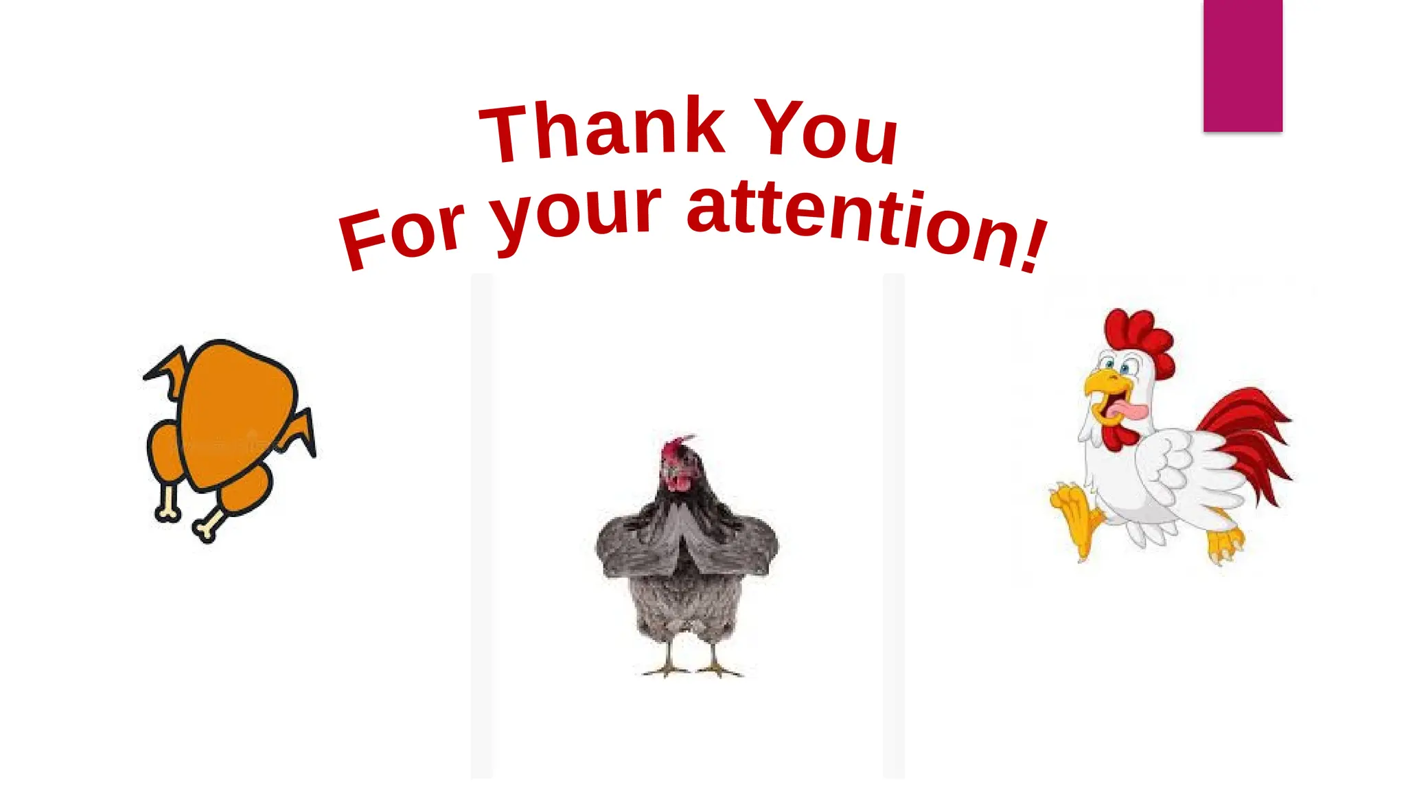 Detailed Poultry Production and Feeding Records. | PPTX | Veterinary ...