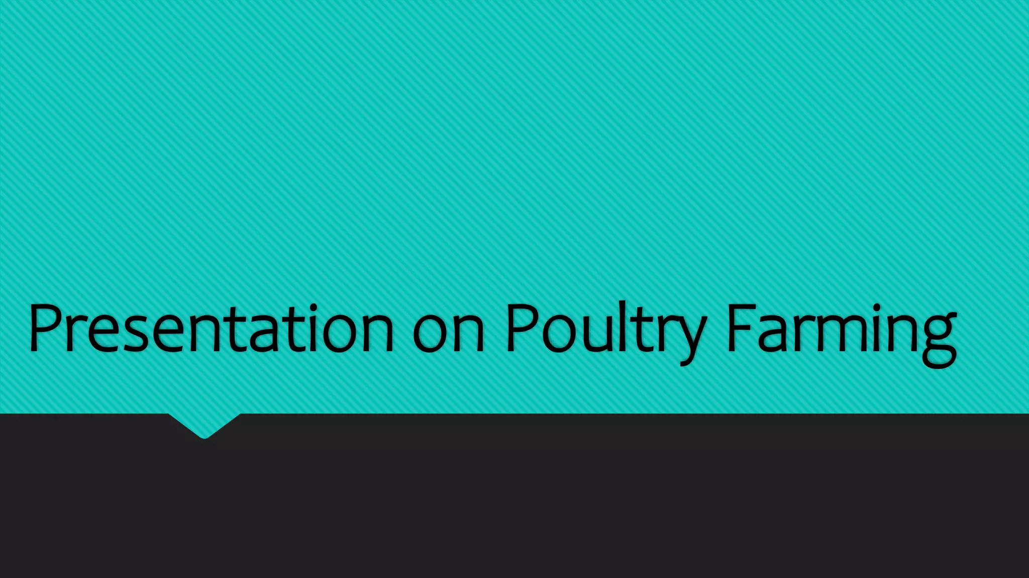 Presentation on Poultry Farming | PPTX