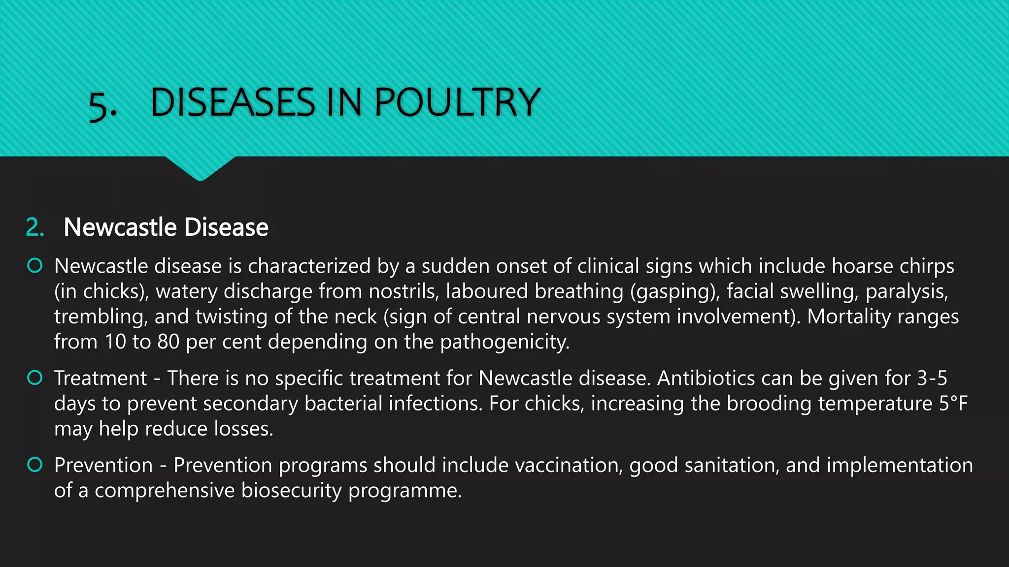 Presentation on Poultry Farming | PPTX