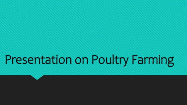 Presentation on Poultry Farming | PPTX