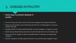 Presentation on Poultry Farming | PPTX