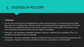 Presentation on Poultry Farming | PPTX