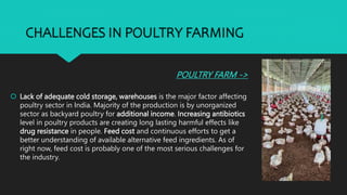 Presentation on Poultry Farming | PPTX