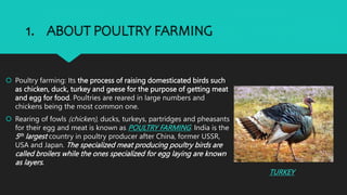 Presentation on Poultry Farming | PPTX