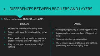 Presentation on Poultry Farming | PPTX