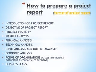 Presentation on prepration of project report | PPT