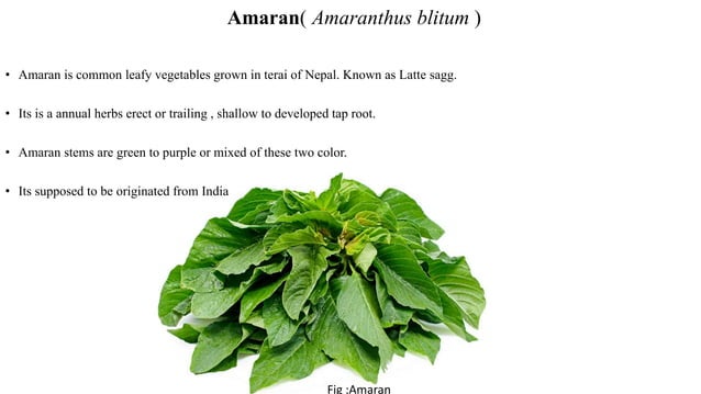 cutivation practice minor vegetables | PPT