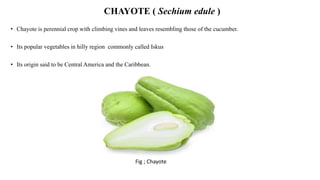 cutivation practice minor vegetables | PPTX