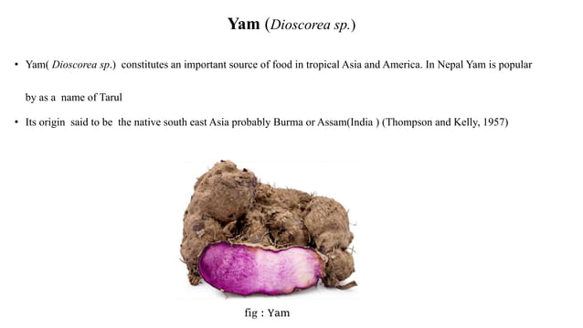 cutivation practice minor vegetables | PPT