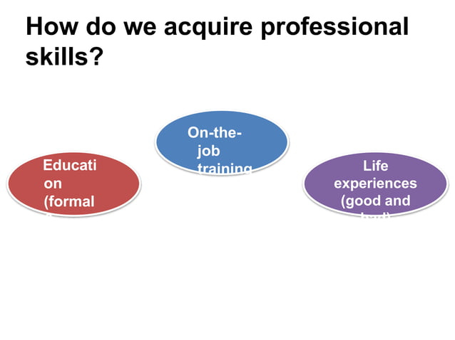 Presentation on Professional Skills.pptx