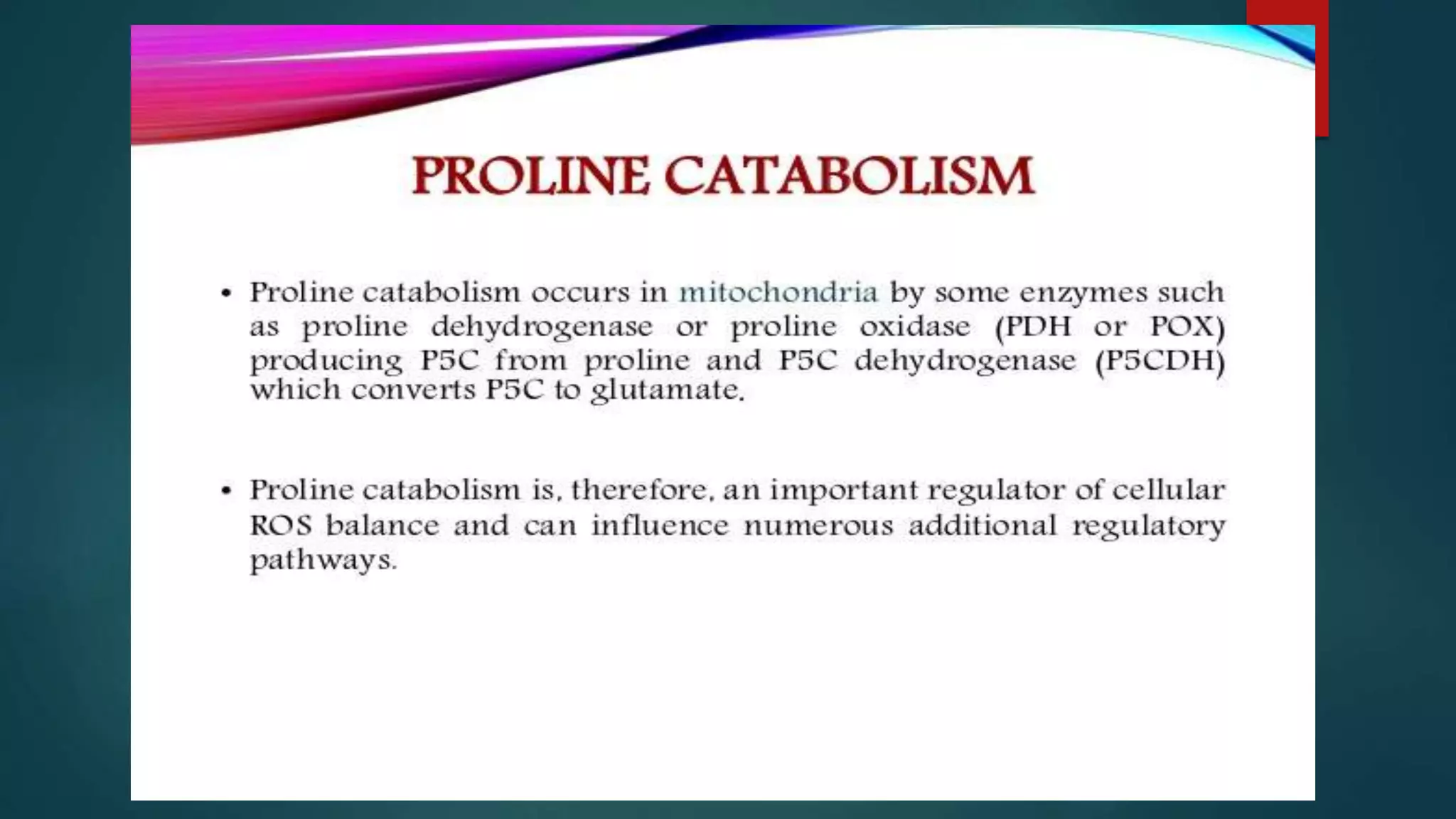 Presentation on proline | PPTX