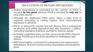 Presentation on proline | PPTX