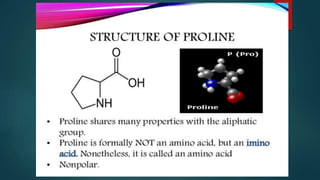 Presentation on proline | PPTX