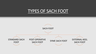 Presentation on prosthetic foot | PPTX