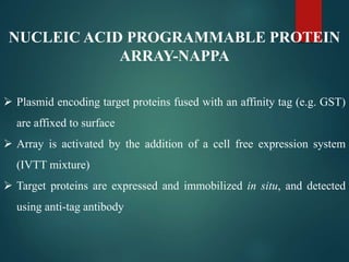 Presentation on protein Array | PPTX