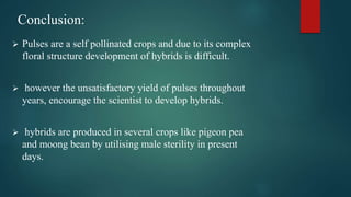 Present status and future plans for hybrid development in pulse crops ...