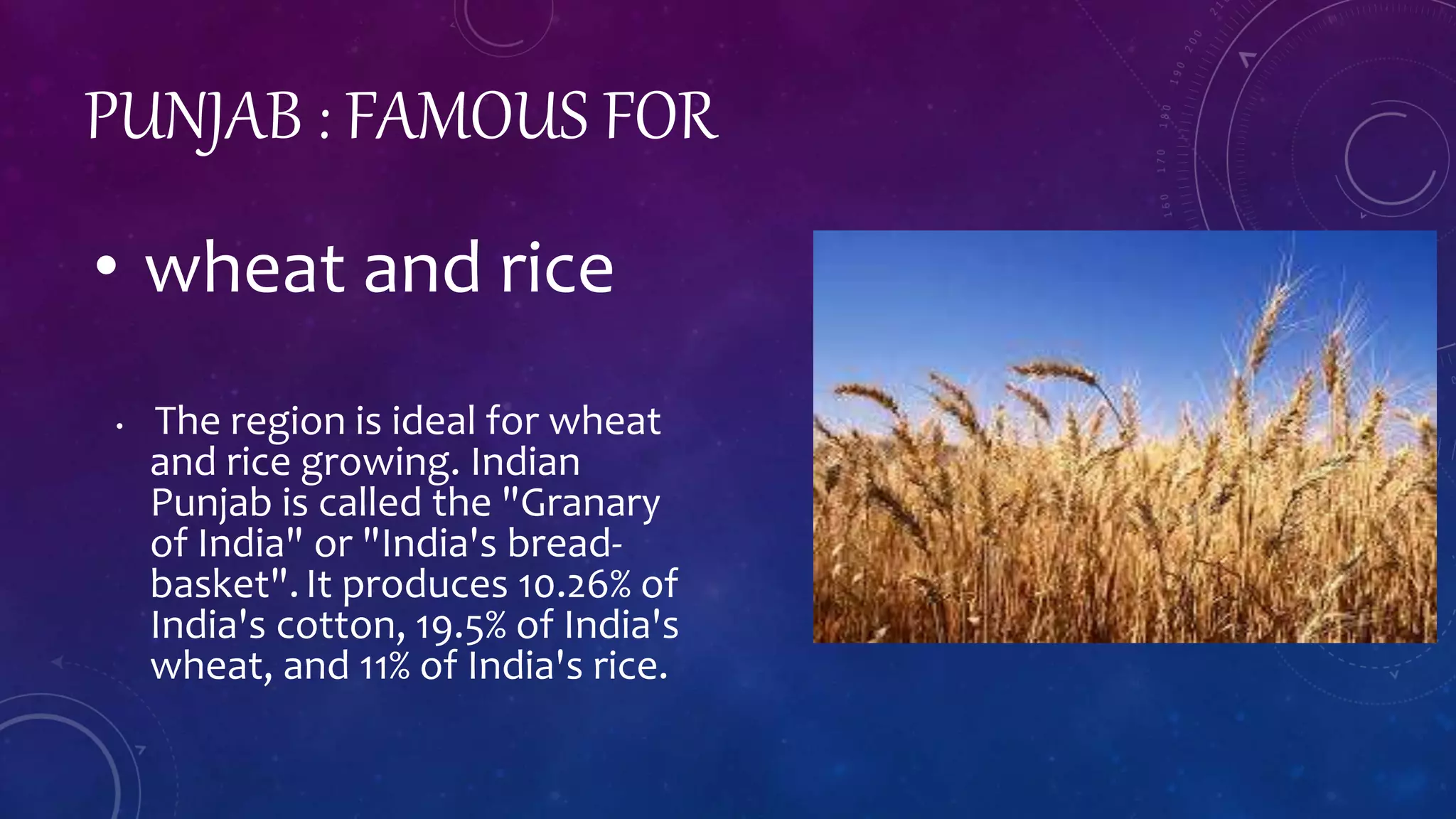 Presentation on punjab | PPTX