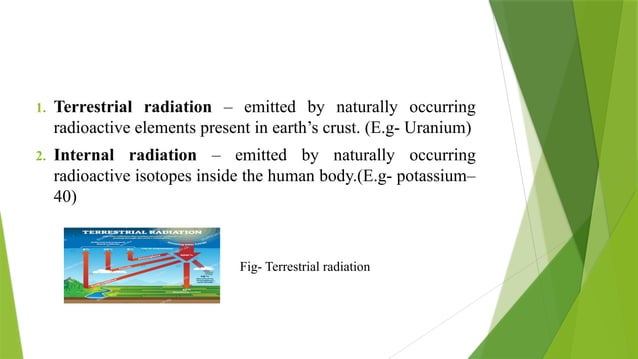 presentation on Radiation exposure and genetic mutation.pptx