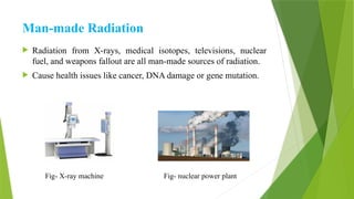 presentation on Radiation exposure and genetic mutation.pptx