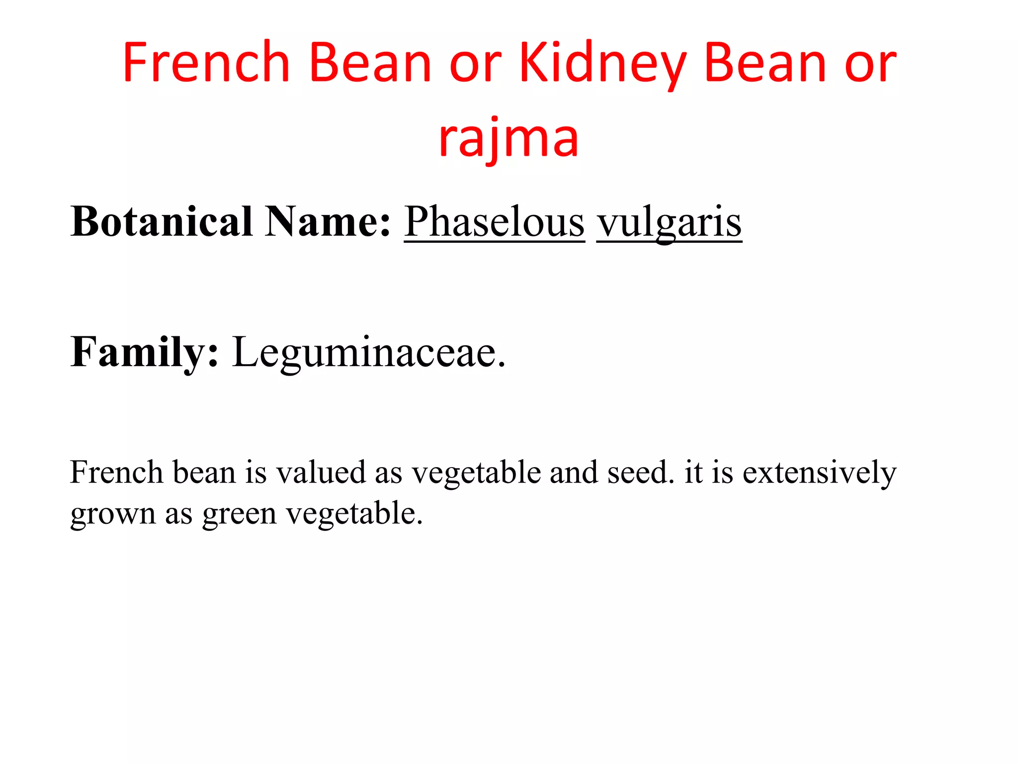 Presentation on rajma | PPTX