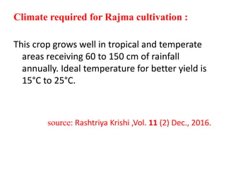 Presentation on rajma | PPTX