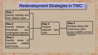 Presentation on Redevelopment | PPTX