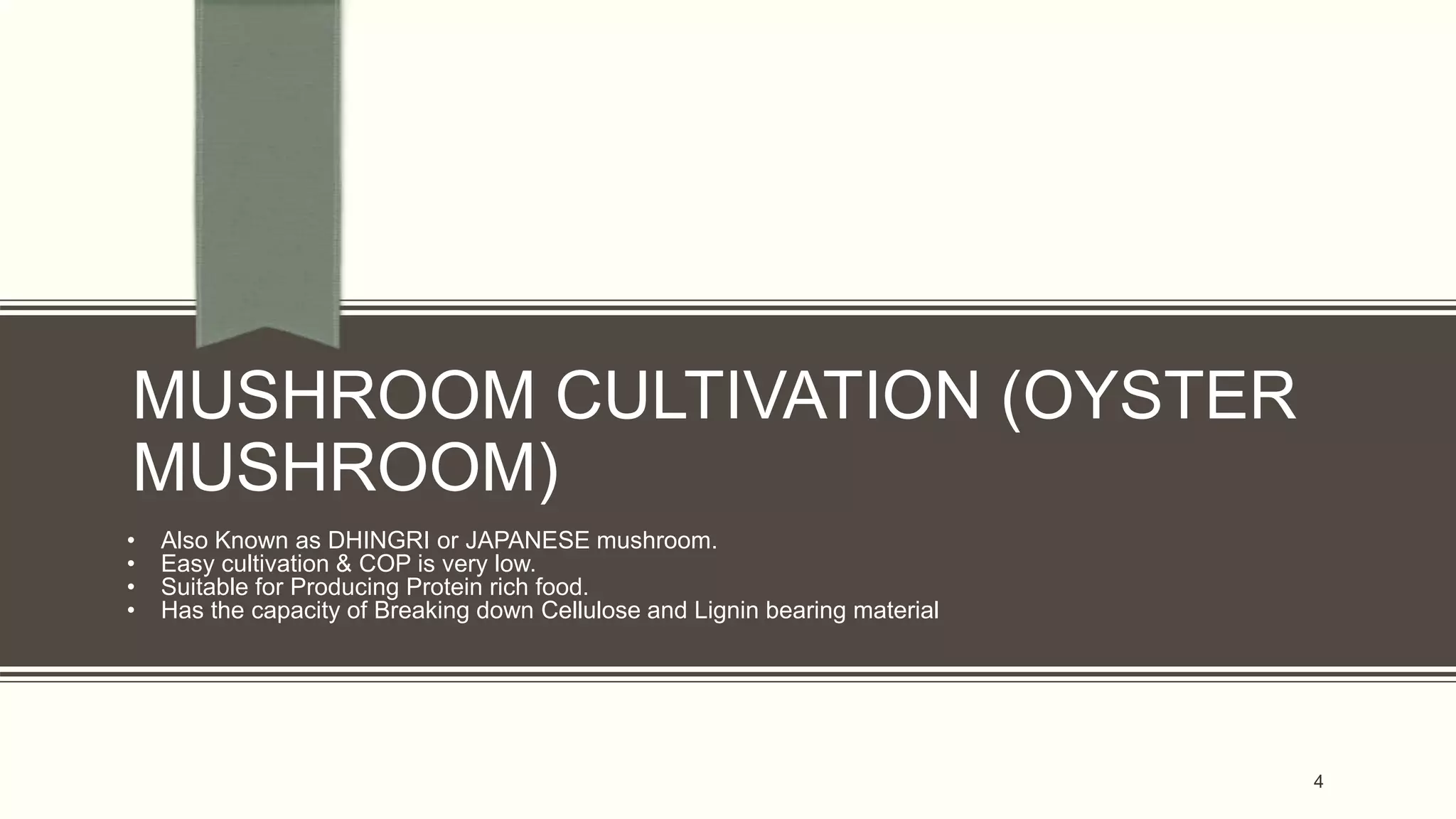 Presentation on rural agriculture work experience (RAWE) Original (1).pptx